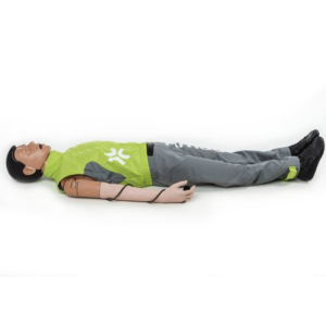 Adult CPR Manikins | Brayden, Laerdal and Ambu | AEDexpert.co.uk